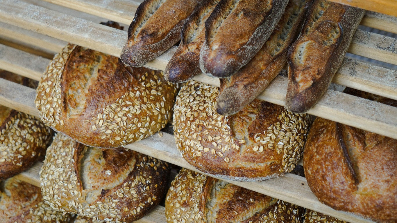 Daily Bread